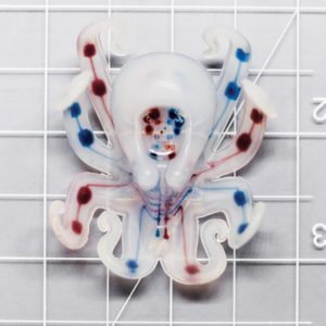 Meet The World’s First Completely Soft Robot Octobot | ProDigitalWeb