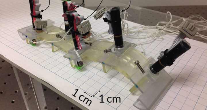 Caterpillar Robot Uses Squishy, 3 D Printed Legs To Inch And Crawl ...