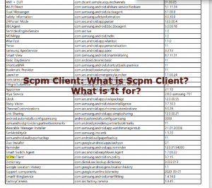 Scpm Client: What Is Scpm Client? What Is It For? | ProDigitalWeb